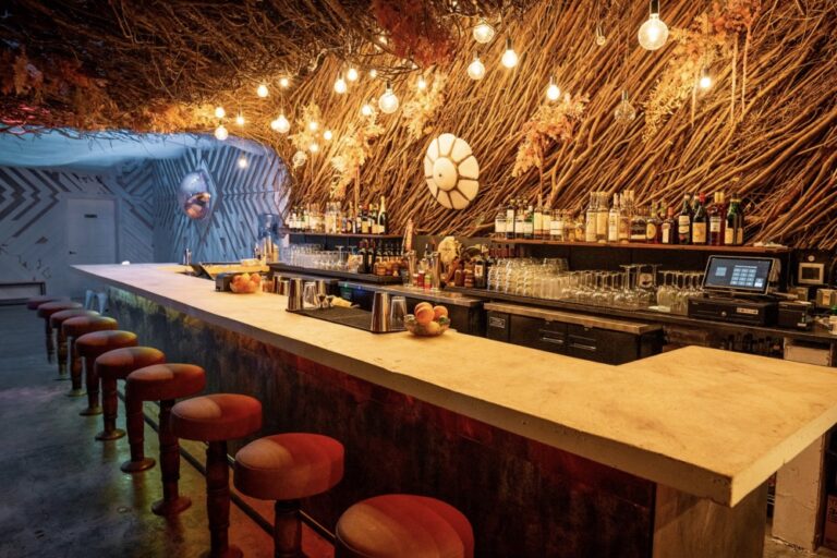 12 of the Coolest Bars for a Night Out in Denver, CO - American Eats